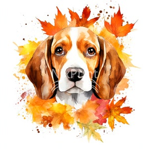 Beagle Fall Foliage Clipart, Art for Cats, Digital Sticker for Women ...