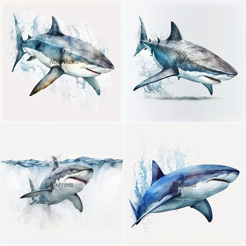 Shark Cartoon Watercolor Clipart Cute Ocean Animal Art - Etsy