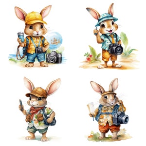 Rabbit Clipart, Tourist Clipart, Dressed as a Tourist, Taking Photos ...
