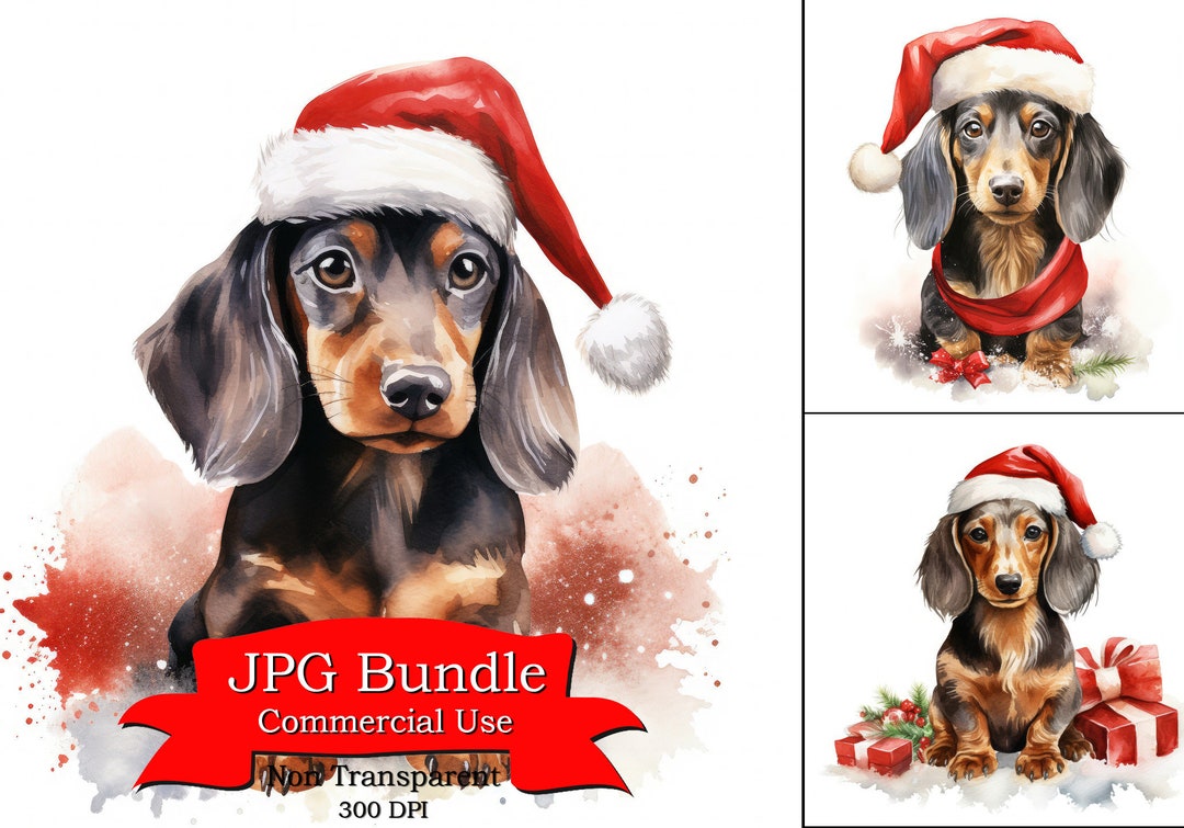 Dachshund Clipart, Dog Clipart, Christmas Clipart, Santa Claus Dress ...