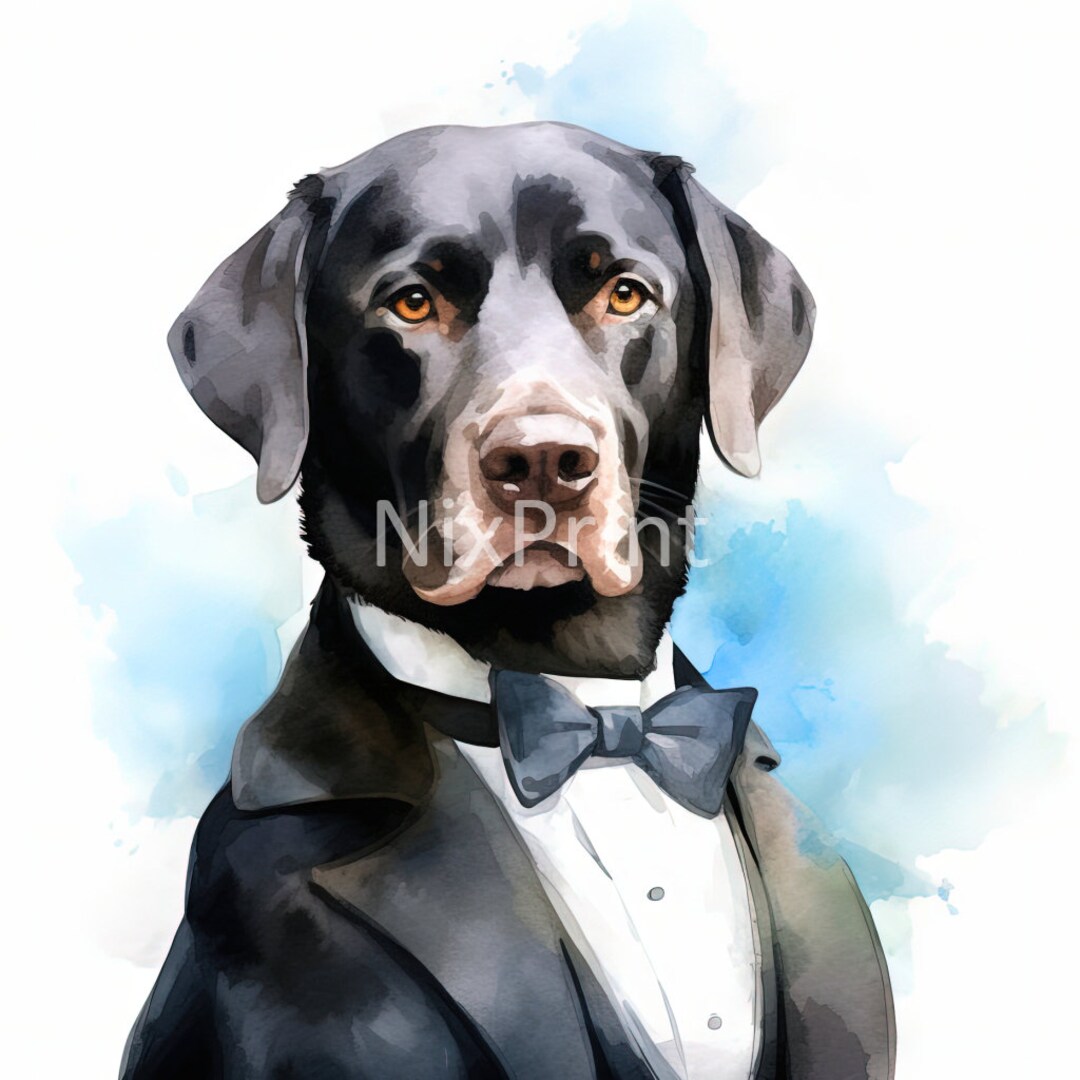 Black and White Male Labrador Retriever Clipart, Labrador Clipart ...