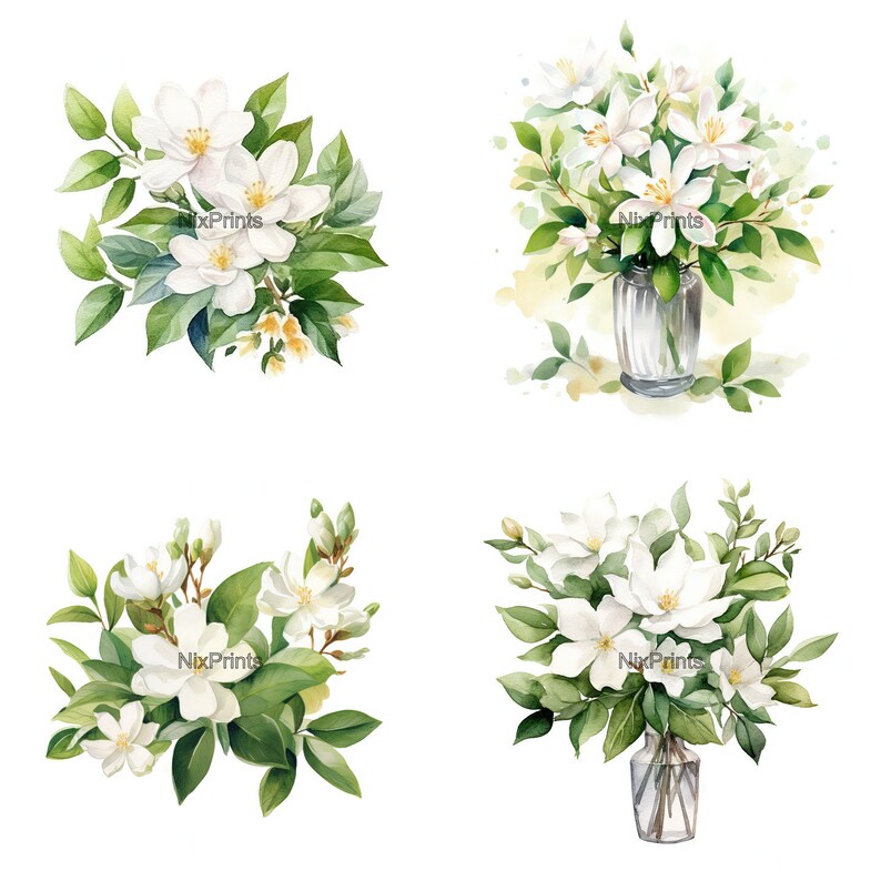 Jasmine Bouquet Watercolor Digital Clipart Digital Paper Crafting ...