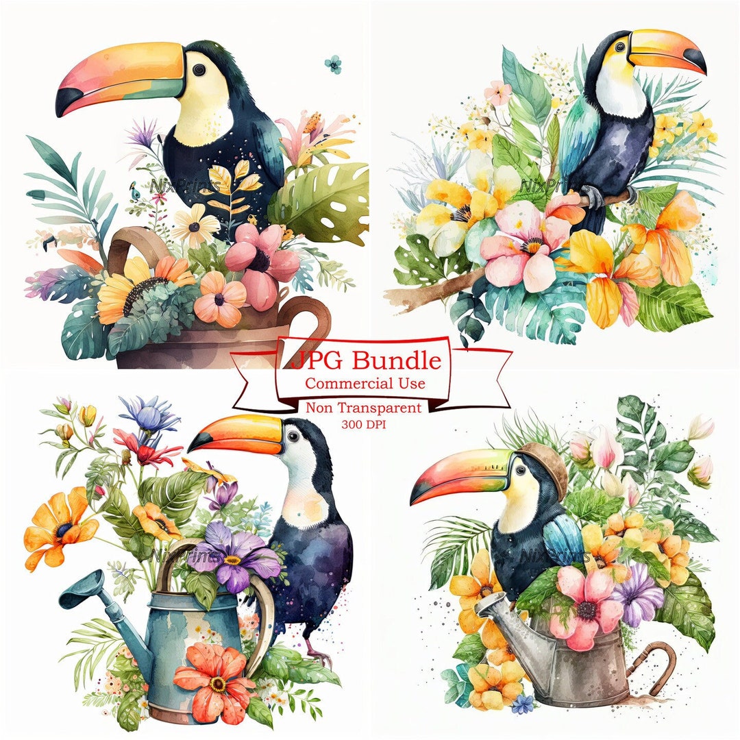 Toucan and Floral Clipart Set - Digital Image Downloads - Bright and ...