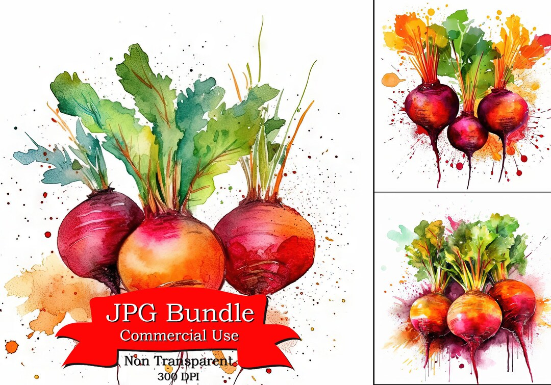 Watercolor Orange Beets Clipart in JPG Format Digital Paper Crafting ...