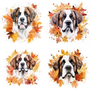 Cute Saint Bernard Fall Foliage Watercolor Clipart, Print for Men, Art ...