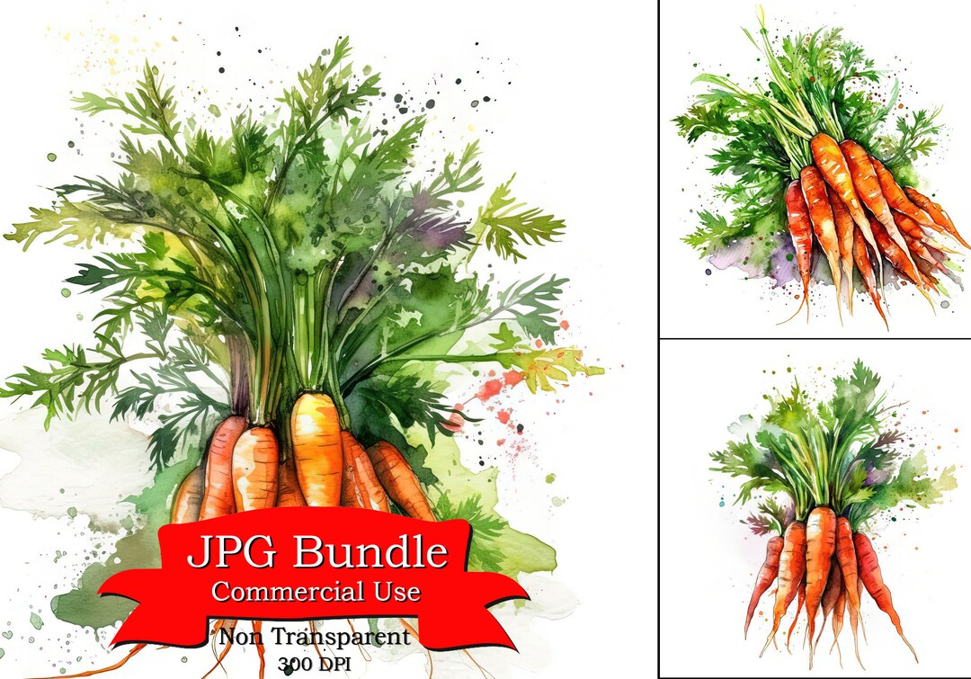 Watercolor Carrots Digital Clipart in JPG Format Digital Paper Crafting ...