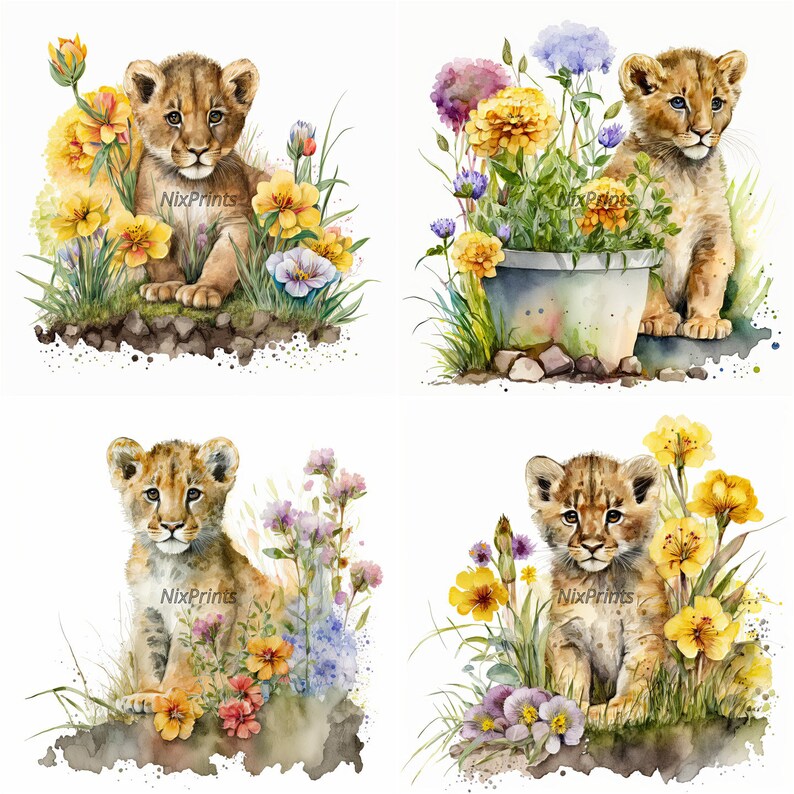 Lion Cub Clipart Set High Quality Digital Image Downloads - Etsy