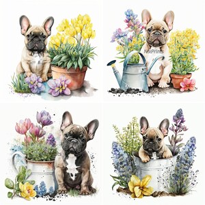 French Bulldog Spring Flowers Clipart Set, Digital Image Downloads for ...