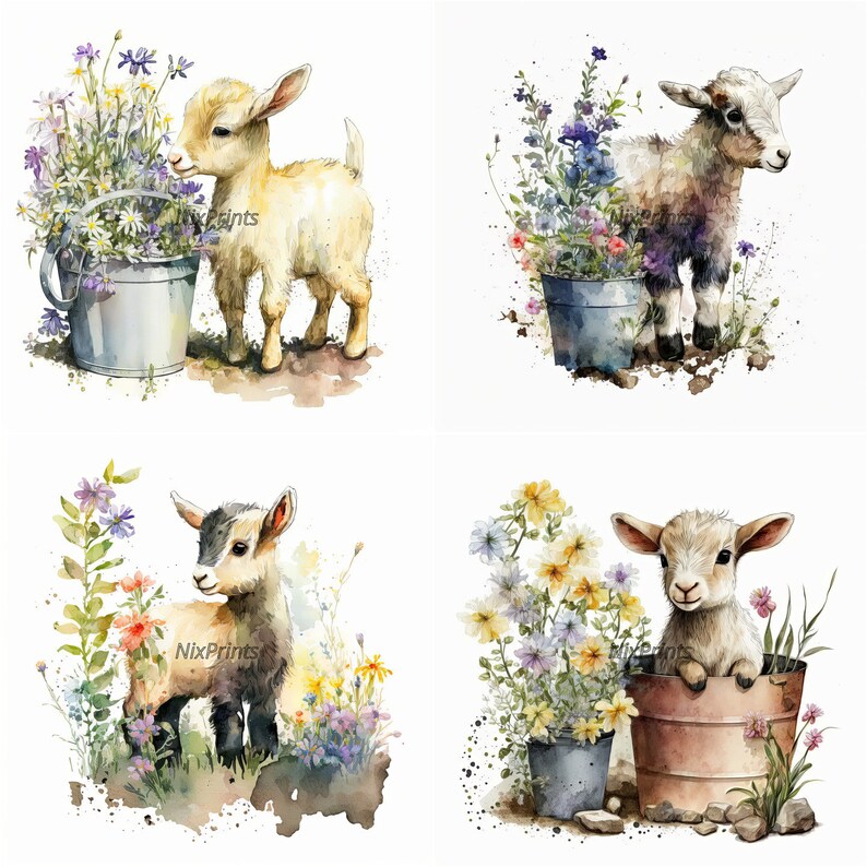 Baby Goat Clipart High Quality Jpgs Commercial Use Digital - Etsy