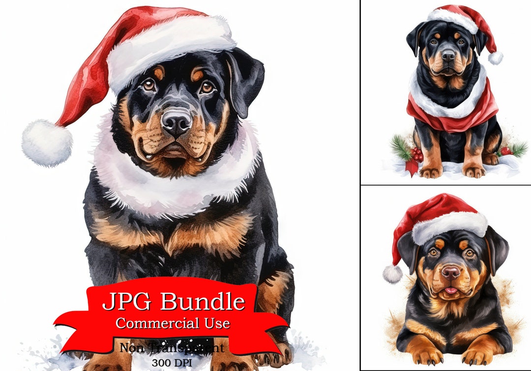 Rottweiler Dog Clipart, Christmas Clipart, in a Santa Claus Dress ...