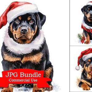 Rottweiler Dog Clipart, Christmas Clipart, in a Santa Claus Dress ...