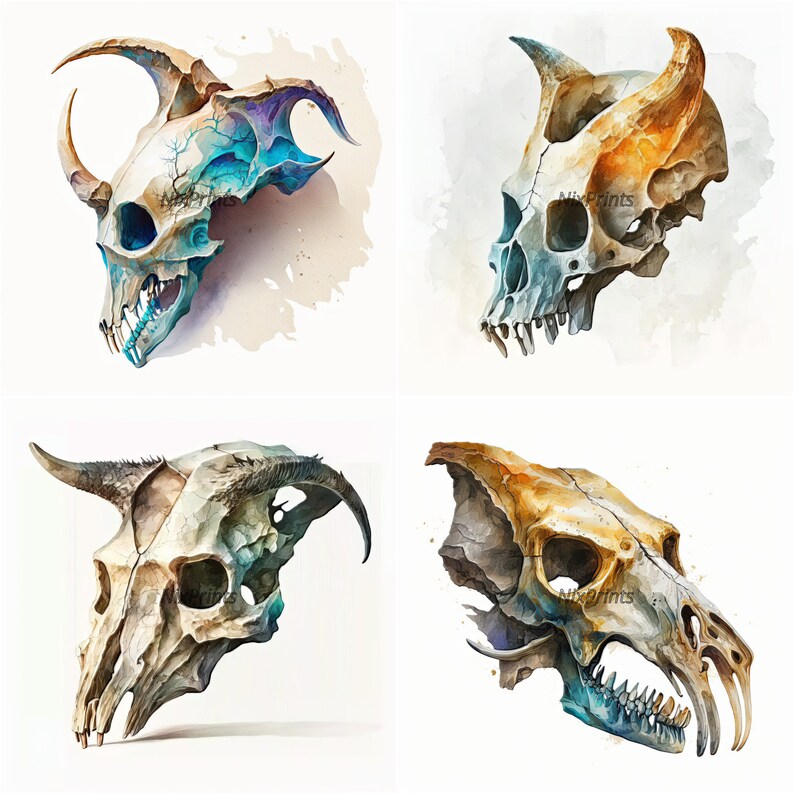 Animal Skull Clipart Set: Unique Collection Realistic - Etsy