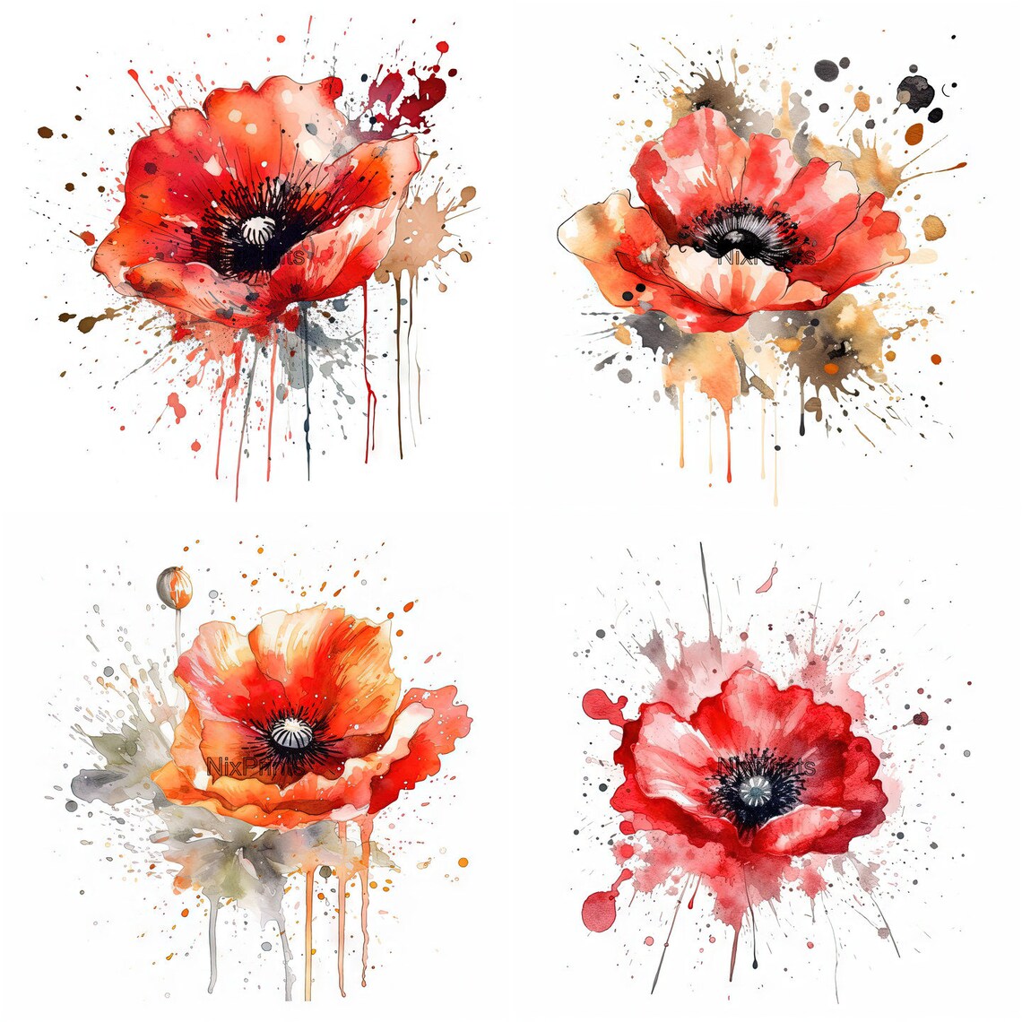 Poppy Paint Splash Watercolor Digital Clipart Digital Paper Crafting ...
