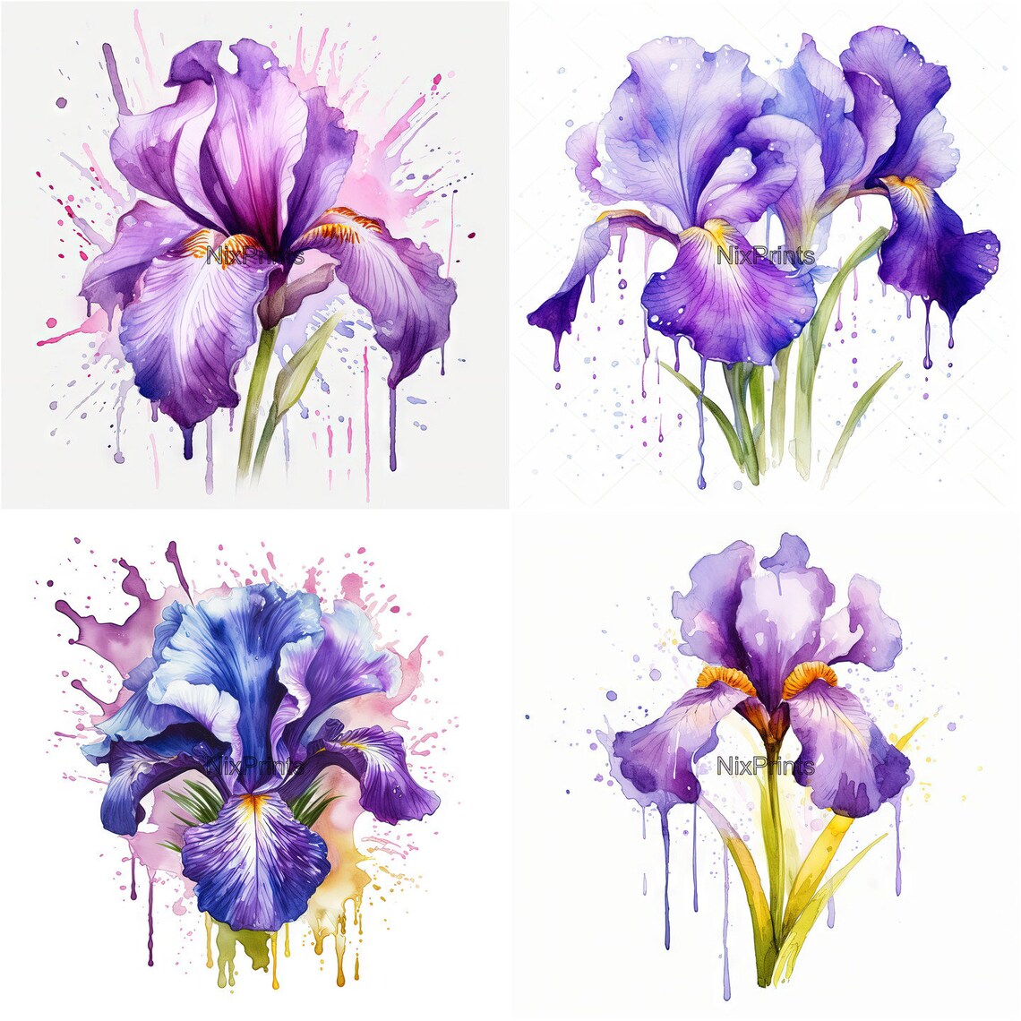 Iris Paint Splash Watercolor Digital Clipart Digital Paper - Etsy