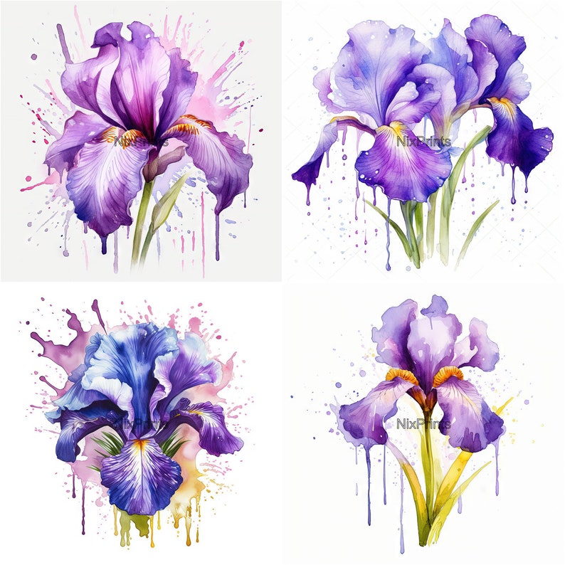 Iris Paint Splash Watercolor Digital Clipart Digital Paper - Etsy
