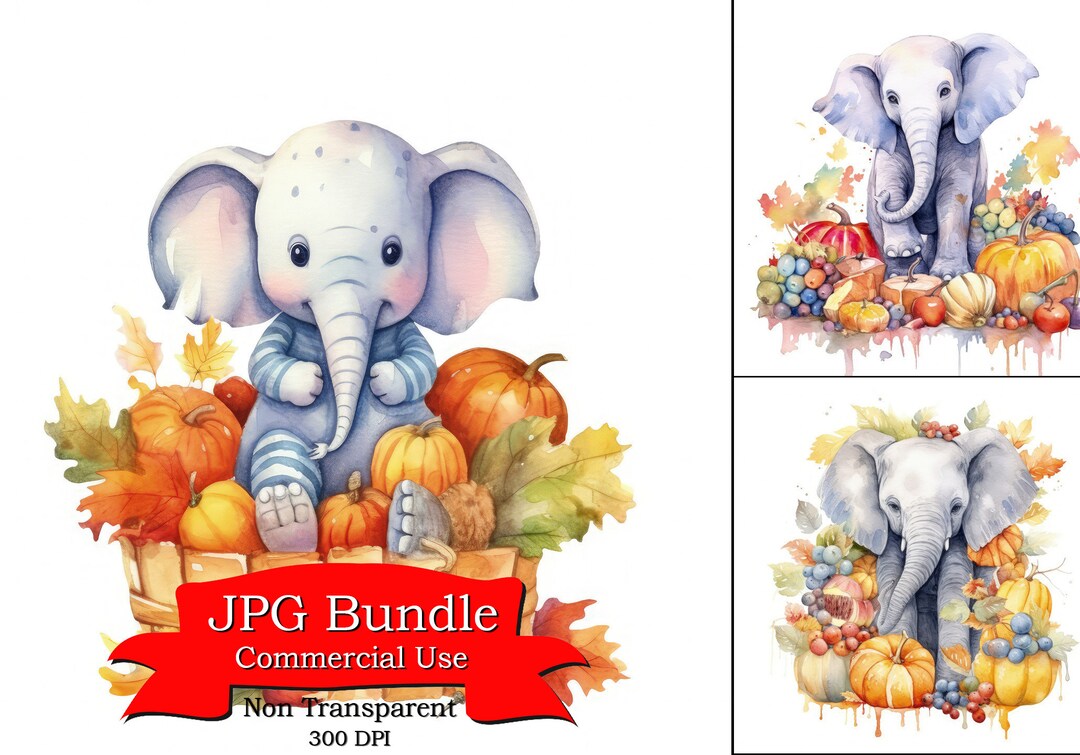 Cute Elephant Clipart, Harvest Food Clipart, Fall Season Clipart ...