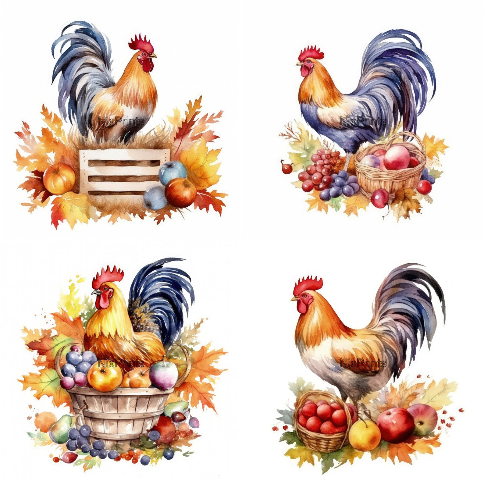 Cute Rooster Harvest Food Watercolor Clipart, Clipart for Kids, Clipart ...
