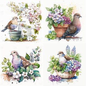 Dove Bird Clipart, Spring Flowers and Gardening Theme, High Quality ...