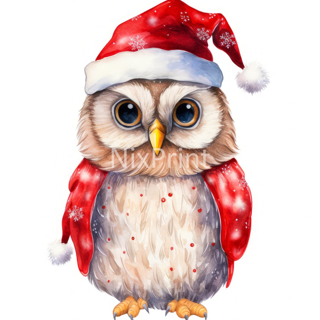 Owl Clipart, Christmas Clipart, Santa Claus Dress, White Background ...