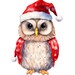 Owl Clipart, Christmas Clipart, Santa Claus Dress, White Background ...
