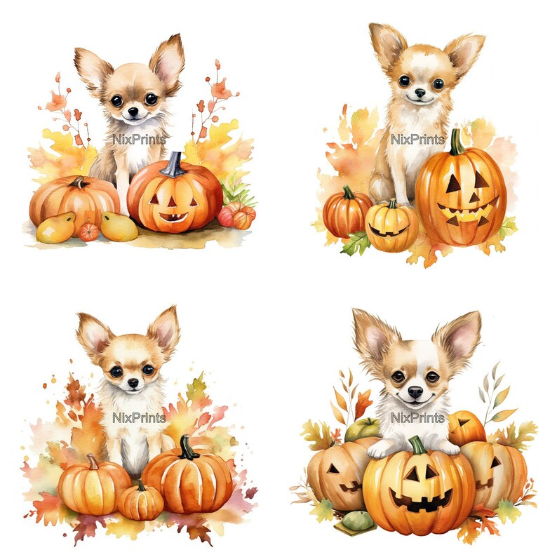 Cute Chihuahua Pumpkin Patch Fall Season Watercolor Clipart, Digital ...