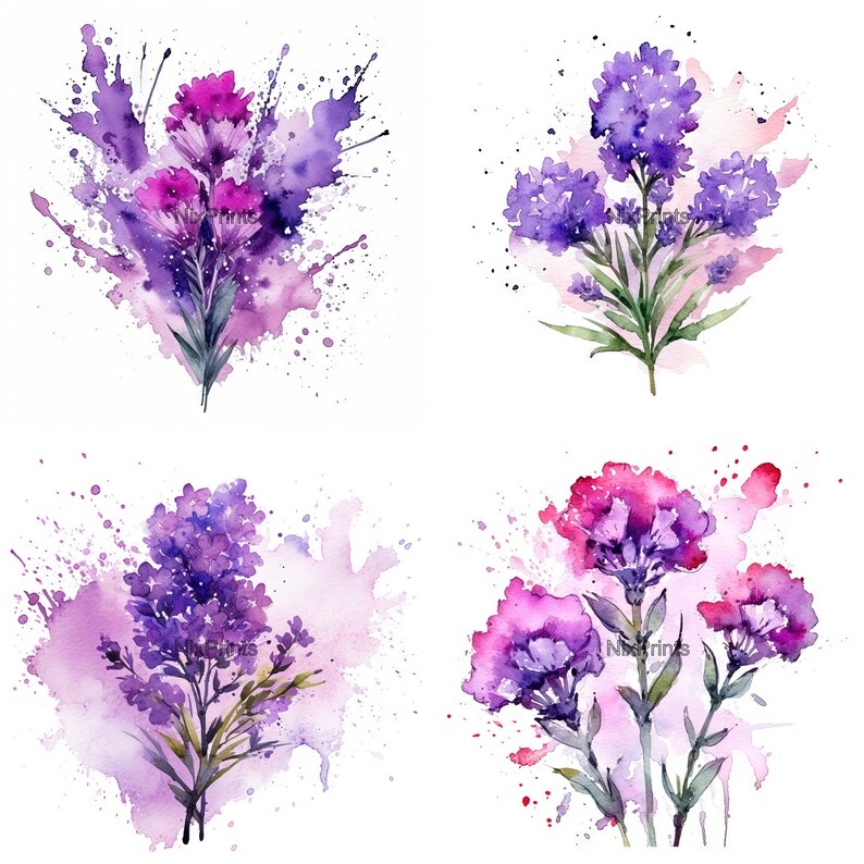 Statice Flower Paint Splash Clipart Digital Paper Crafting - Etsy