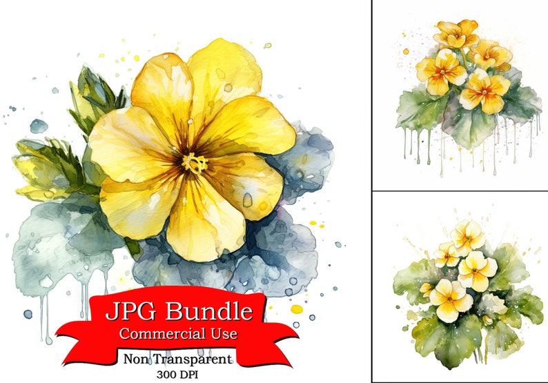 Primrose Paint Splash Watercolor Digital Clipart Digital Paper Crafting ...