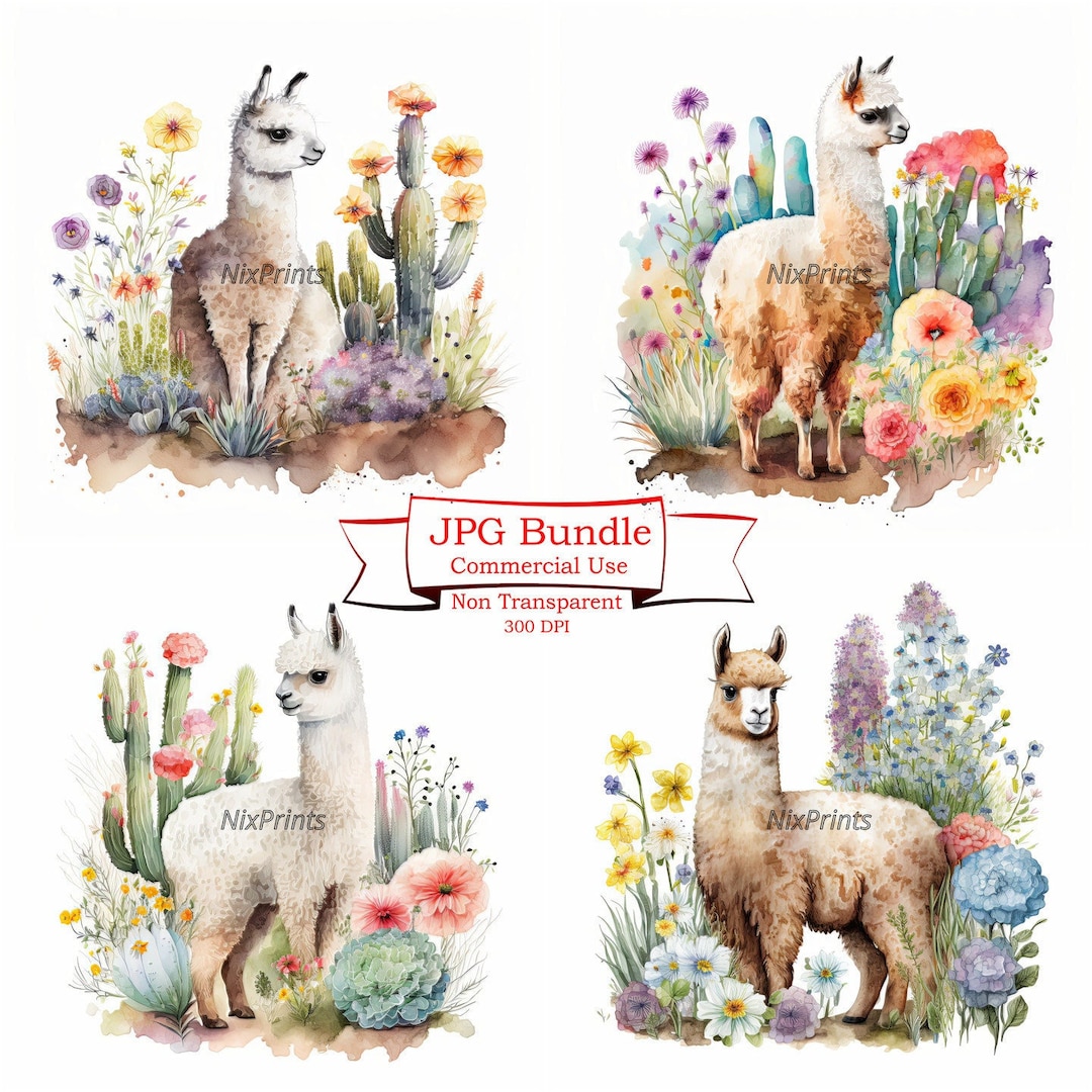Baby Llama Cria Clipart, Spring Flowers & Gardening Theme, High Quality ...