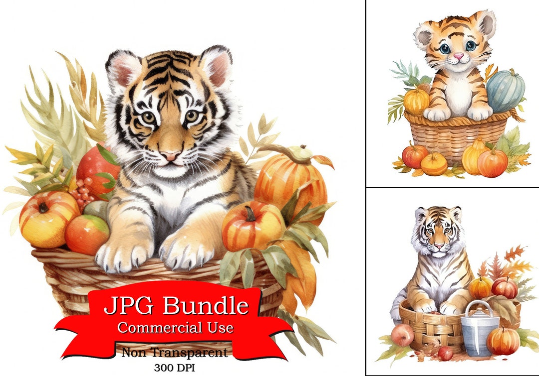 Cute Tiger Harvest Food Watercolor Clipart, Digital Sticker for Fridge ...