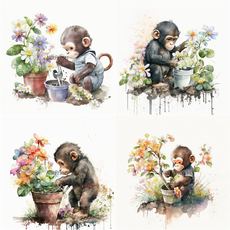 Chimpanzee Clipart Set of 10 Digital Images High Quality - Etsy