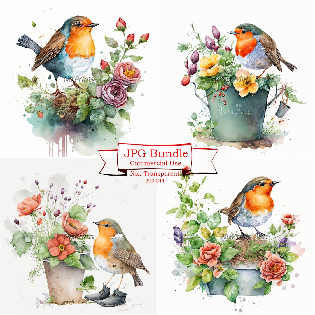 Robin Bird Clipart, Spring Flowers Gardening Theme, Digital Downloads ...
