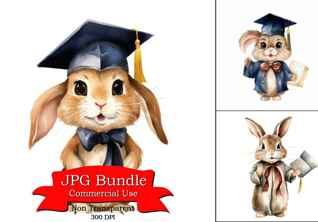 Rabbit Clipart, Graduation Clipart, Wearing a Cap and Gown, Graduation ...