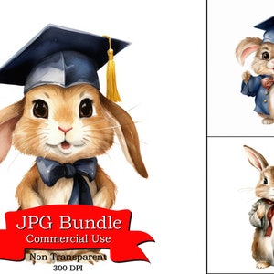 Rabbit Clipart, Graduation Clipart, Wearing a Cap and Gown, Graduation ...