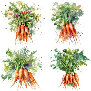 Watercolor Carrots Digital Clipart in JPG Format Digital Paper Crafting ...