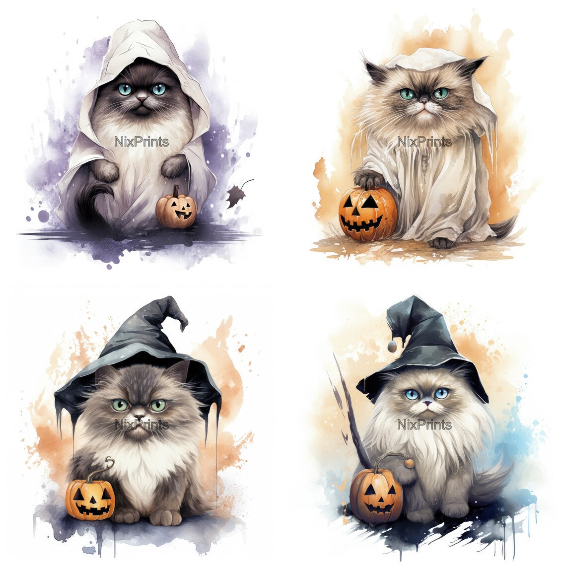 Cute Himalayan Cat Clipart, Spooky Halloween Costume, Ghost, Witch, and ...