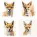Adorable Clipart Baby Kioti Animal for Crafting ,high-resolution ,JPG ...