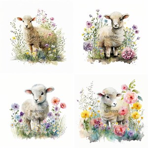 Baby Sheep Lamb Clipart - Spring Flowers and Gardening Theme - Digital ...