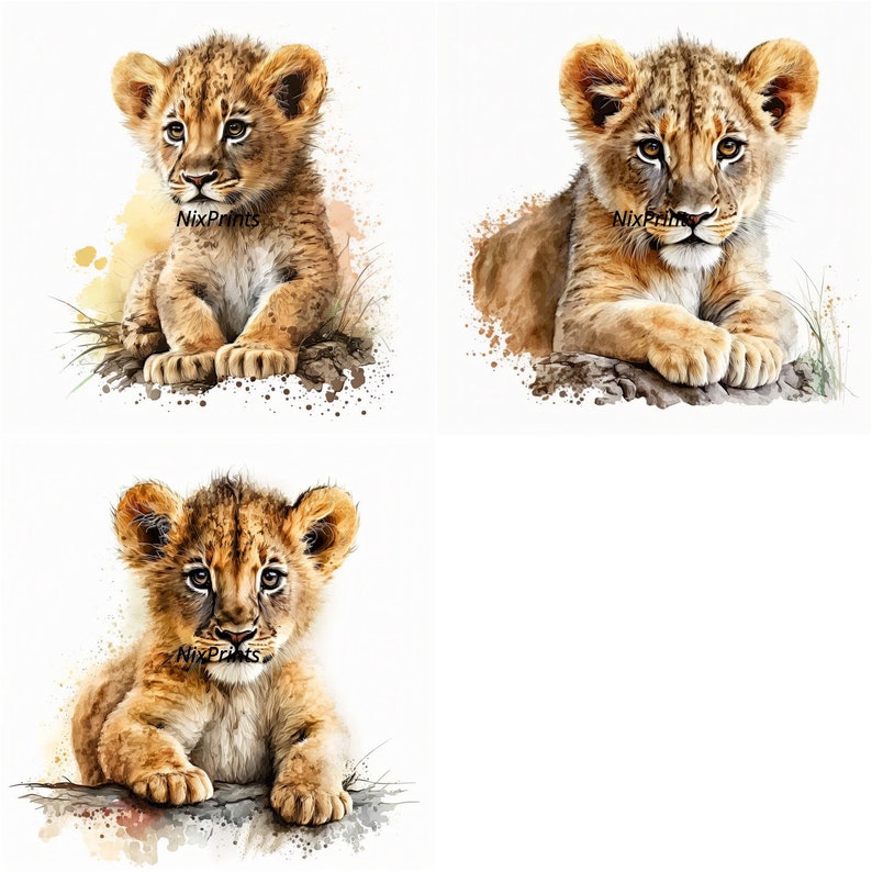Real Lion Cub Clipart Digital Image Downloads for Commercial - Etsy