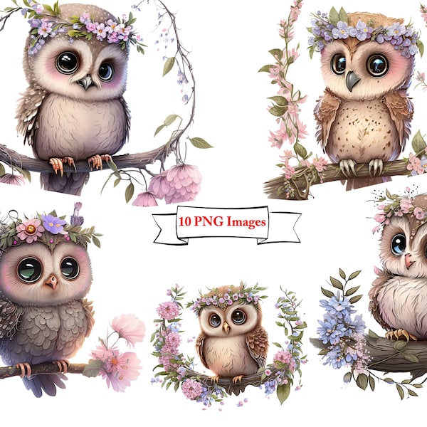 Cute Owl Clip Art - Etsy