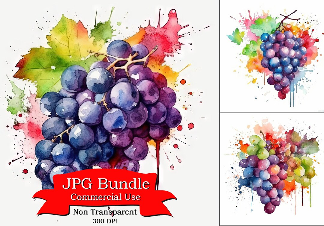 Vibrant Watercolor Grapes Digital Clipart in JPG Format Digital Paper ...