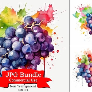 Vibrant Watercolor Grapes Digital Clipart in JPG Format Digital Paper ...