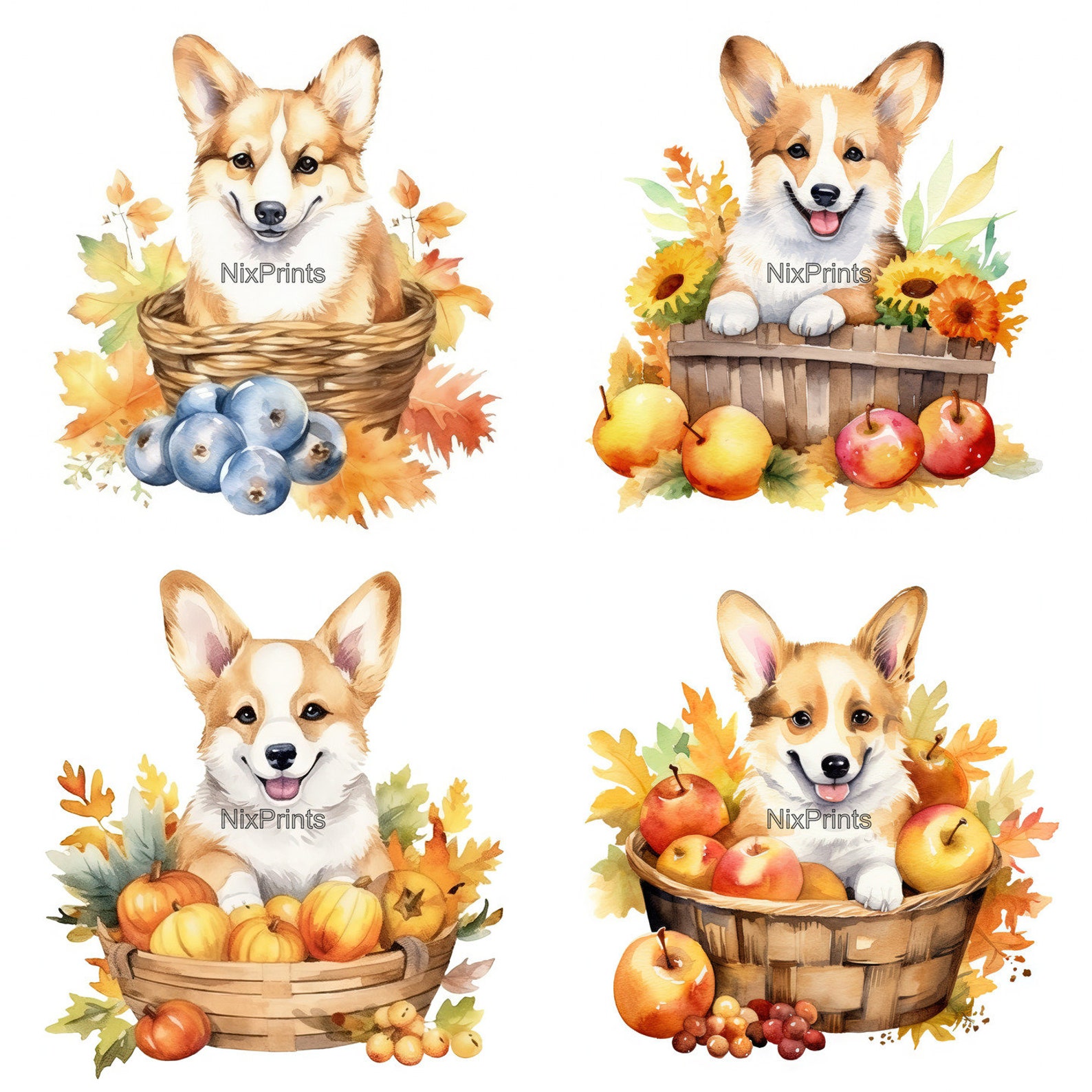 Cute Corgi Harvest Food Fall Season Watercolor Clipart, Pumpkin Clipart ...