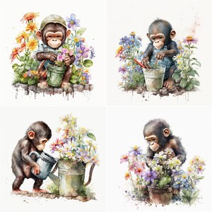 Chimpanzee Clipart - Set of 10 Digital Images - High Quality Jpgs for ...