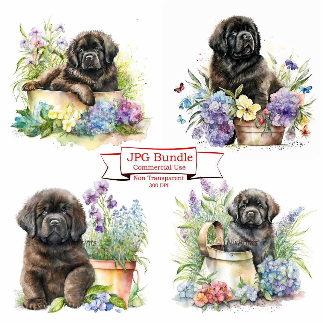 Newfoundland Dog Clipart- Spring Flowers and Gardening Theme -high ...