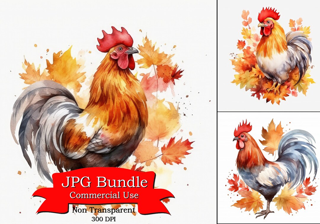 Cute Rooster Fall Foliage Watercolor Clipart, Design for Fun, Print for ...