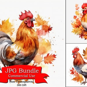 Cute Rooster Fall Foliage Watercolor Clipart, Design for Fun, Print for ...