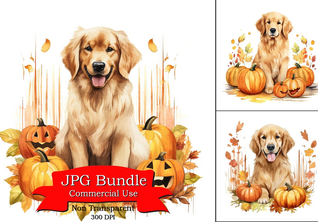 Golden Retriever Pumpkin Patch Clipart, Picture for Father, Images for ...