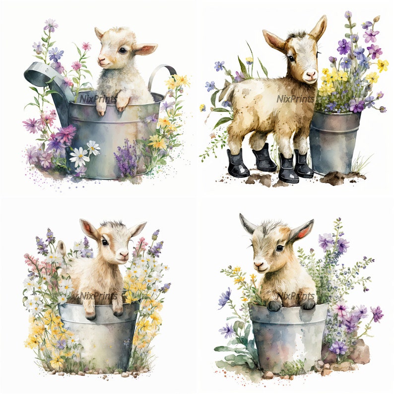 Baby Goat Clipart High Quality Jpgs Commercial Use Digital - Etsy