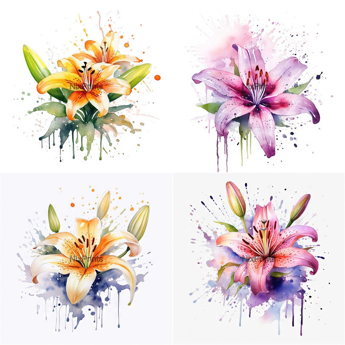 Lily Paint Splash Watercolor Digital Clipart Digital Paper - Etsy