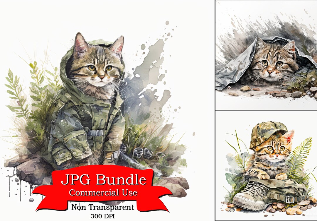 Tabby Clipart, Cat Camping Clipart, Wilderness Companion Outdoors ...